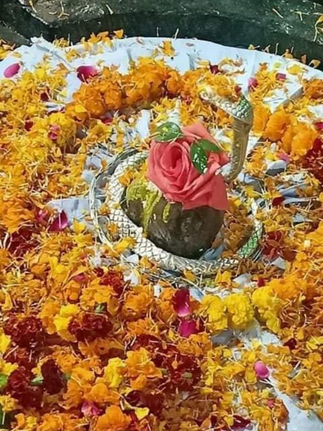 शिवलिंग पूजा - क्या आप जानते हैं कहाँ से शुरू हुई लिंग पूजा ? » www.eKumaun.com